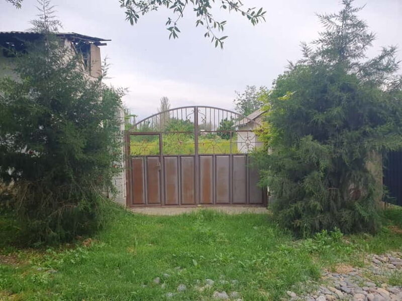 Samarkand: Village Tour with Plov Cooking Class & Home Visit - The Essence of a Village Tour