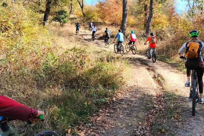 Sambata de Sus: E-Bike Guided Tours - Exploring Sibius Surroundings with Sambata de Sus: E-Bike Guided Tours