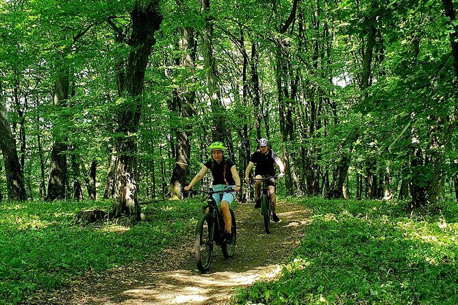Sambata de Sus: E-Bike Guided Tours - A Closer Look at the E-Bike Adventure Near Sibiu