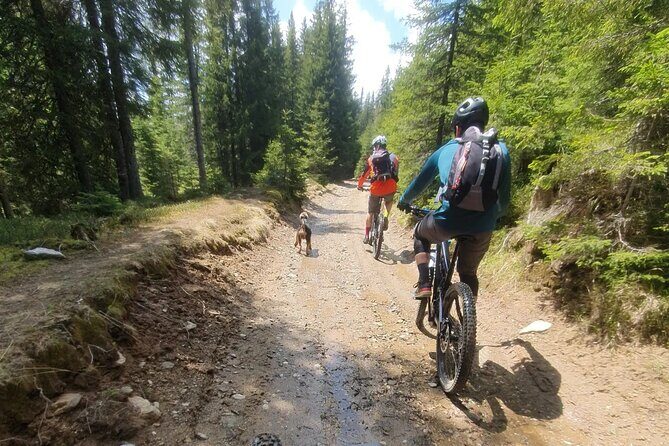 Sambata de Sus: E-Bike Guided Tours - Who Should Consider This Tour?