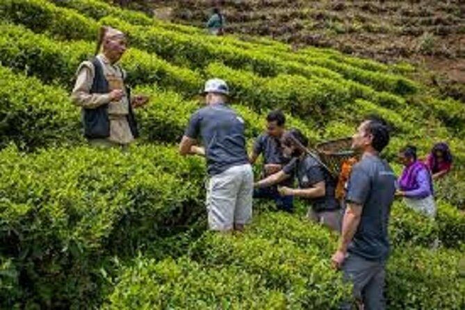 Samdakphu View trek - Key Points