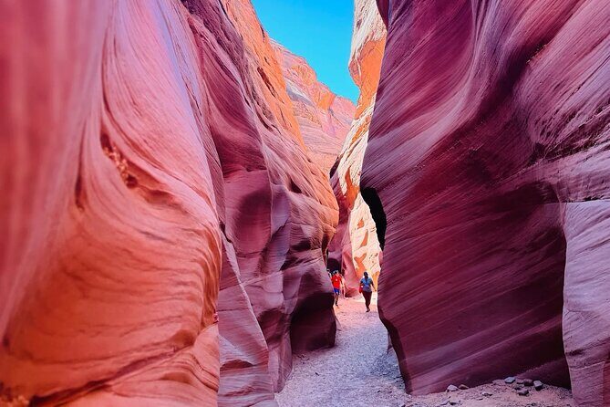 Same Day Exclusive Kayak Rental on Lake Powell - Final Thoughts: The Best Fit for Your Lake Powell Visit