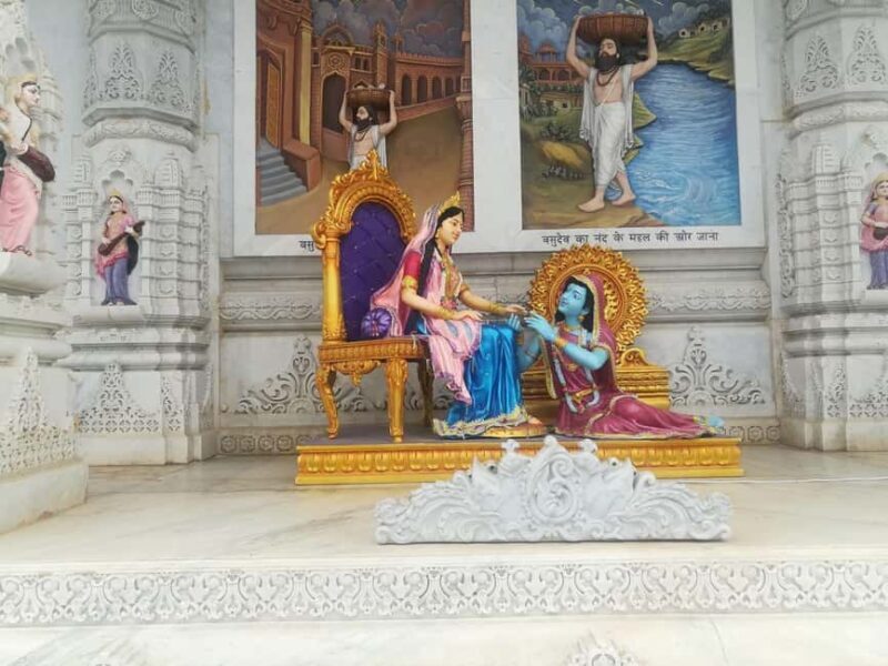 Same Day Mathura Vrindavan Tour from Delhi - Who Should Consider This Tour?