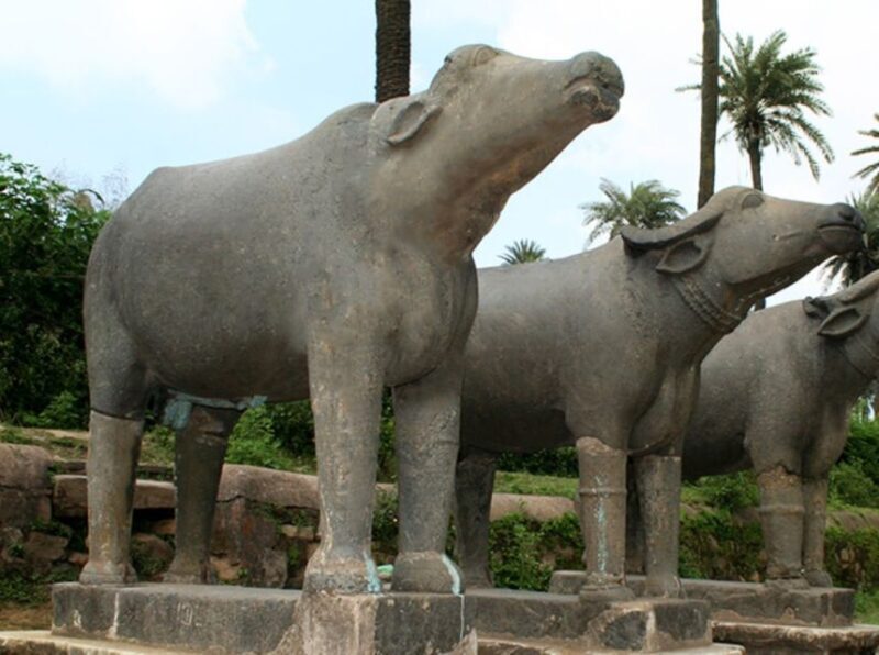 Same Day Ranakpur Trip From Jodhpur - Why Consider the Ranakpur Day Trip?