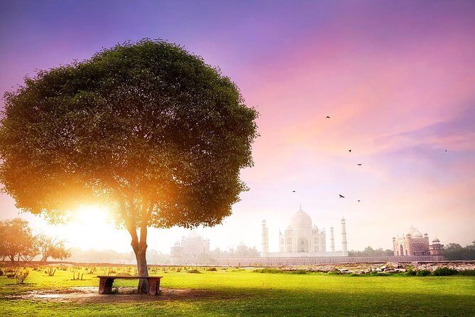 Same Day Taj Mahal Tour By Gatiman Express Train With Local Tour Guide - Who Should Consider This Tour?