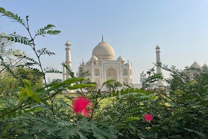 Same Day Tajmahal at Sunrise and SOS wildlife sanctuary tour - Is the Tour Worth the Price?