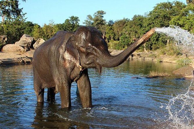 Same Day Tajmahal at Sunrise and SOS wildlife sanctuary tour - Final Thoughts: Is This Tour for You?