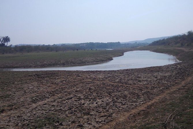 Same Day Trip To National Chambal Sanctuary From Agra With River Safari - Who Should Consider This Tour?