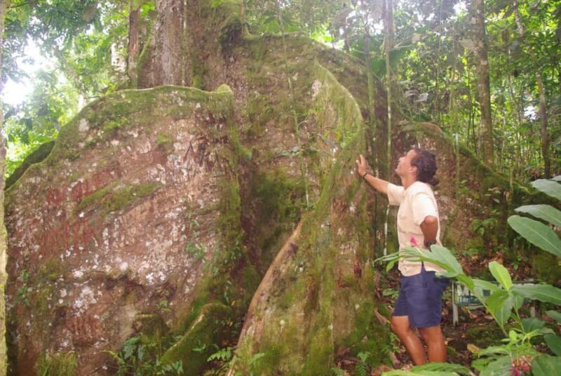 Samoa: National Park Lava Cliffs & Black Sand Beach Day Tour - Transportation, Timing, and Group Size