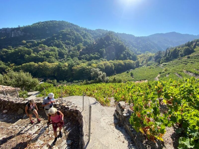 Samos: Full-Day Private Sightseeing Tour - The Experience in Detail