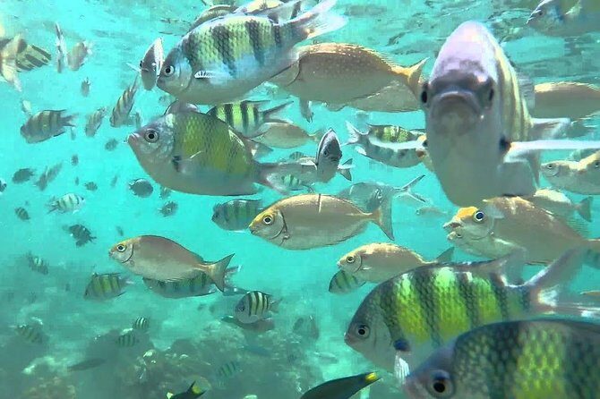 Samui Boat Charter, Private Half-Day 4 hours Koh Phangan Cruise from Koh Samui. - Lunch in Tong Nai Pan: A Highlight
