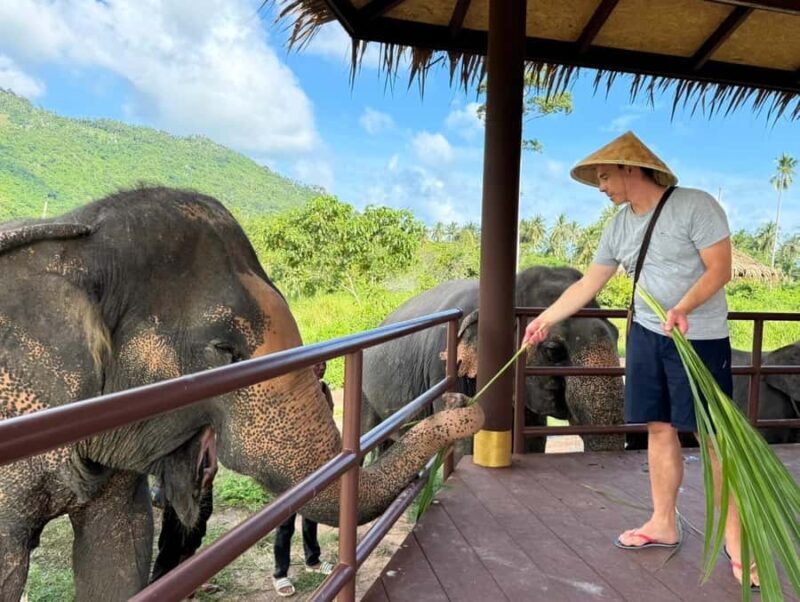 Samui: Elephant Home Sanctuary and the first elephant museum - Frequently Asked Questions