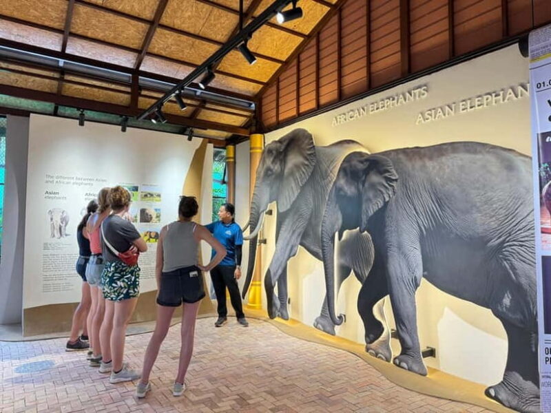 Samui: Elephant Home Sanctuary and the first elephant museum - Key Points