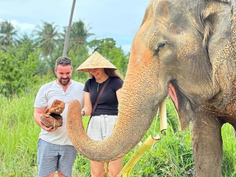 Samui: Elephant Home Sanctuary and the first elephant museum - Practical Details