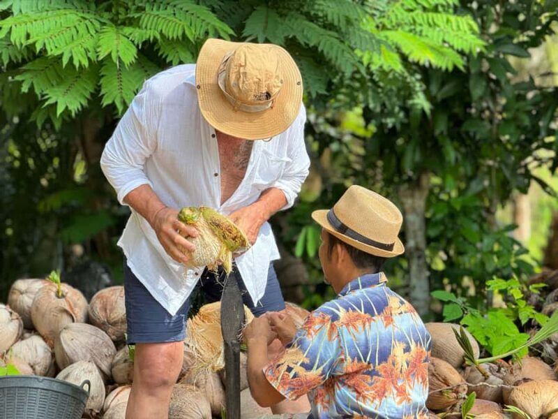 Samui: Ethical Elephants Sanctuary and Coconut Experience - Key Points