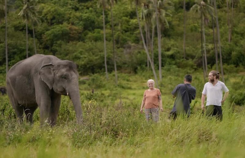Samui: Ethical Elephants Sanctuary and Coconut Experience - Who Would Love This Tour?