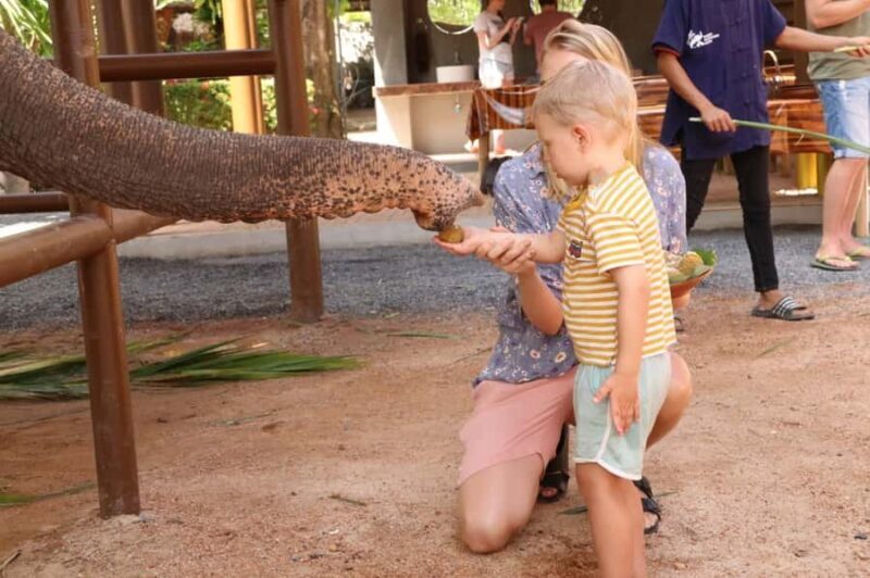 Samui: Feeding Program at the Elephant Home Nursery - Authentic Insights From Reviews