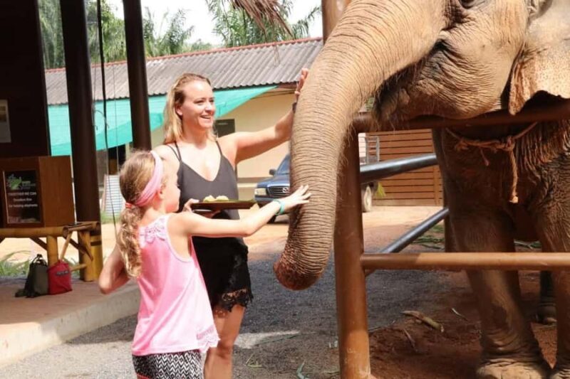 Samui: Feeding Program at the Elephant Home Nursery - The Sum Up