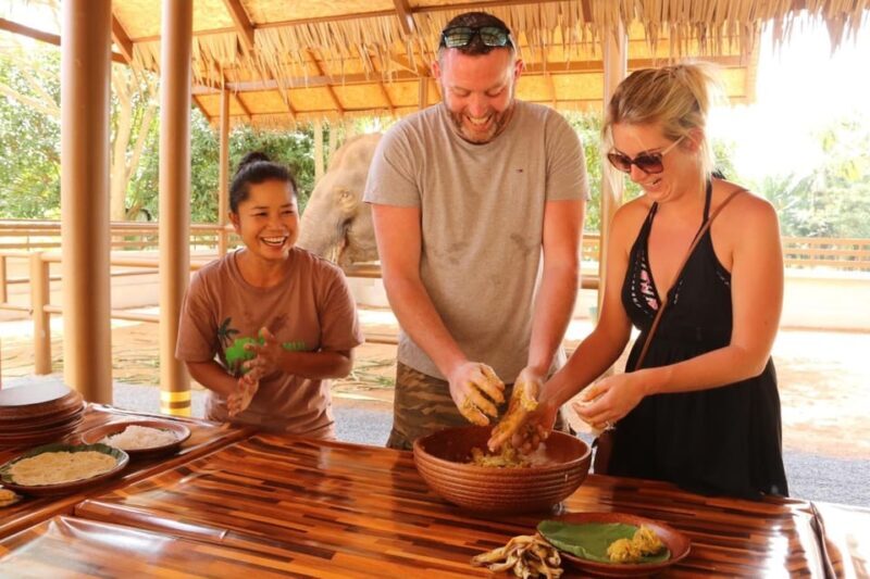 Samui: Feeding Program at the Elephant Home Nursery - An Honest Look at the Elephant Home Nursery Experience