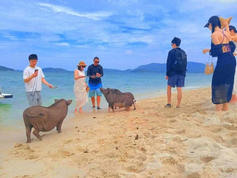 Samui: Golden Trio Islands Tour by Speedboat Group Tour - Final Thoughts