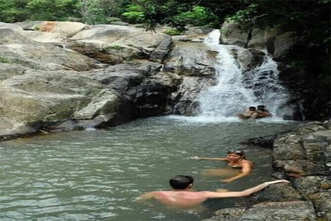 SAMUI: JUNGLE SAFARI by 4x4 Offroad (No Animal) - An In-Depth Look at the Jungle Safari Experience