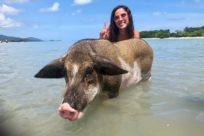 SAMUI: Koh Tao- Koh Nangyaun Island Group by Speed Boat-Lunch - Authenticity and Practical Tips