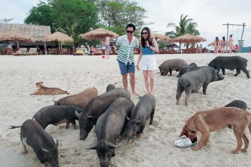 Samui: Pig Island Private Luxury Longtail Boat Tour - The Details: How the Tour Works and Why It Matters