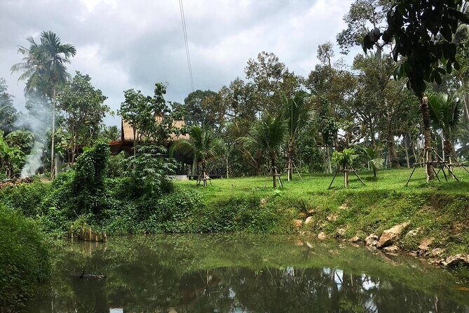 Samui Zipline 9 Platforms Adventure Tour - An Overview of the Zipline Experience in Koh Samui