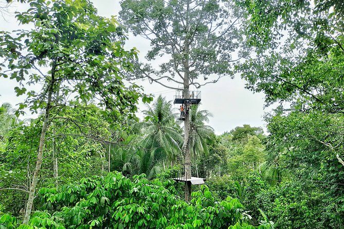 Samui Zipline Explore and Connect with Nature - Key Points