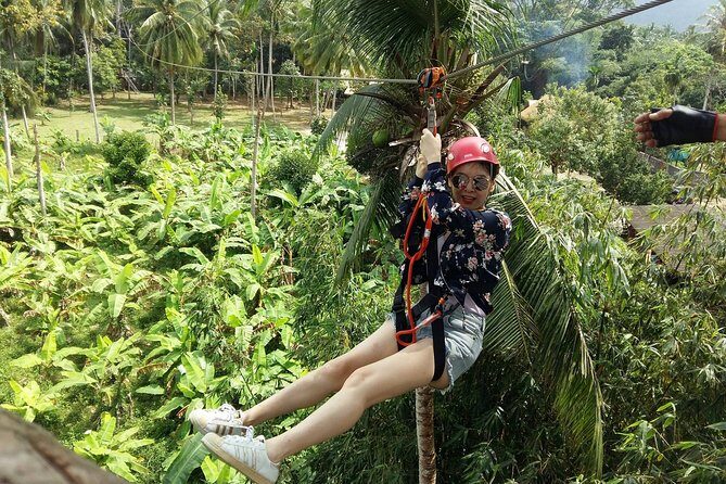 Samui Zipline Explore and Connect with Nature - The Value Proposition: Is It Worth It?