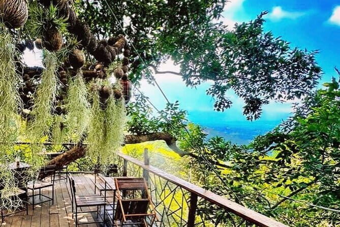 Samui Zipline FLY & Fun Tree Bridge Jungle Cafe & Waterfall - What to Expect from the Samui Zipline Tour