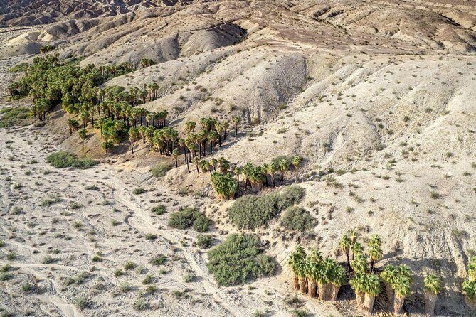 San Andreas Fault Jeep Tour from Palm Springs - Key Points