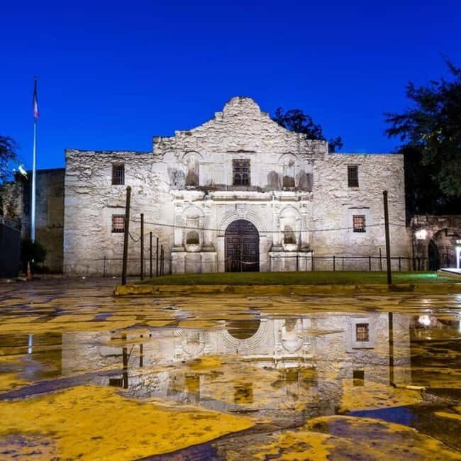 San Antonio: City Lights Night Tour by Trolley - Authentic Perspectives from Past Participants