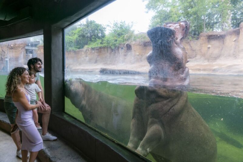 San Antonio CityPASS®: Save up to 51% on 4 Top Attractions - Cost and Value Analysis