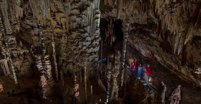 San Antonio: Discovery Tour at Natural Bridge Caverns - What Makes the Discovery Tour Special?