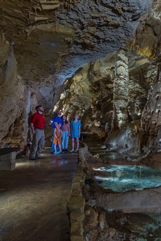 San Antonio: Discovery Tour at Natural Bridge Caverns - Experience Highlights from Travelers