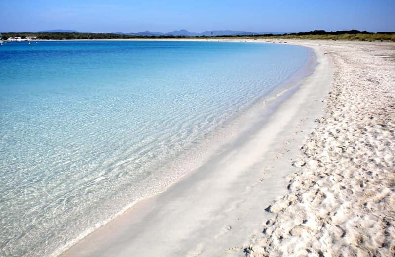 San Antonio: Es Vedrà, Formentera Tour with Food & Drinks - In Summary: Who Would This Tour Suit?