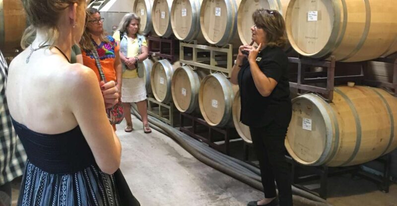 San Antonio: Fredericksburg Wineries Day Trip with Tastings - Discovering the Fredericksburg Wineries Day Trip from San Antonio