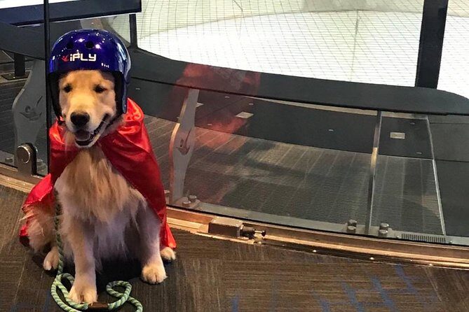 San Antonio Indoor Skydiving Admission with 2 Flights & Personalized Certificate - Final Thoughts: Who Should Consider This?