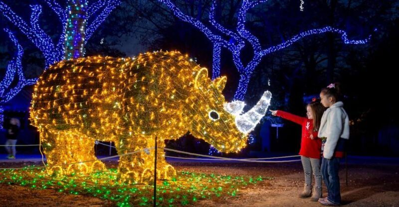 San Antonio: San Antonio Zoo Any Day Ticket - An In-Depth Look at the San Antonio Zoo