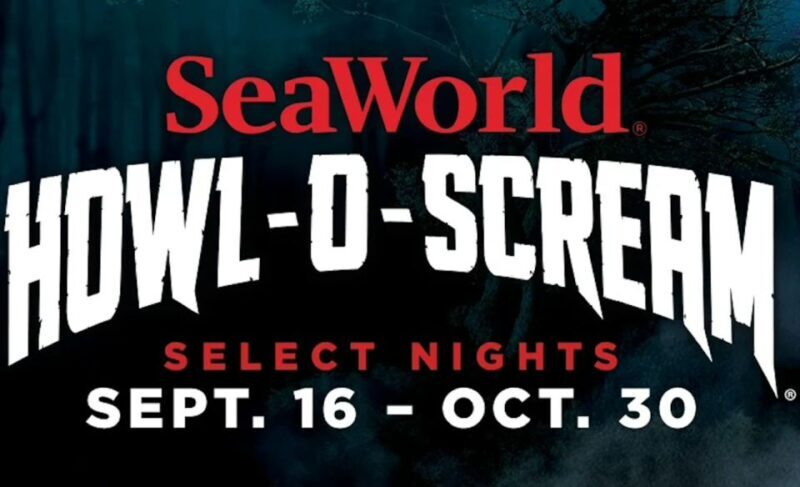 San Antonio: SeaWorld Skip-the-Line Park Admission Ticket - What Makes SeaWorld San Antonio Stand Out?