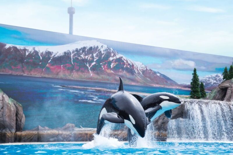 San Antonio: SeaWorld Skip-the-Line Park Admission Ticket - The Value: Balancing Cost and Experience