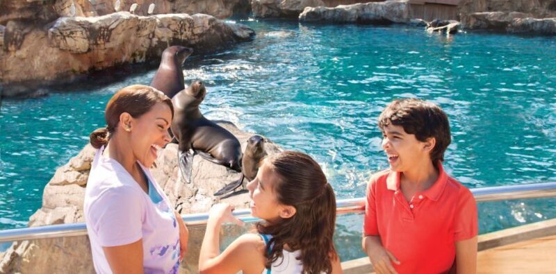 San Antonio: SeaWorld Skip-the-Line Park Admission Ticket - Practical Tips for Visiting