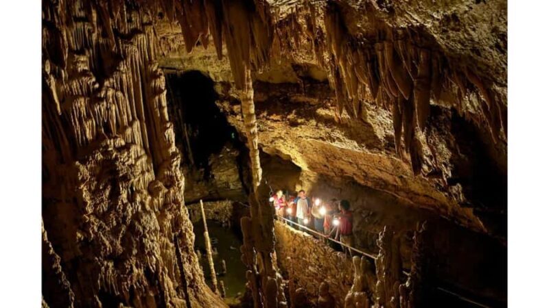 San Antonio: The Lantern Tour at Natural Bridge Caverns - Why This Tour Might Be Perfect for You