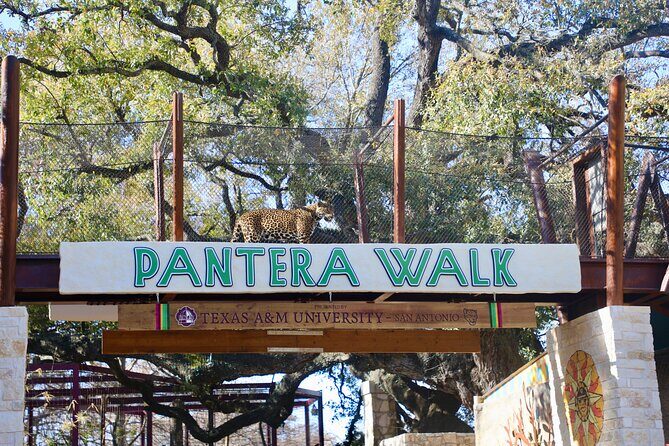 San Antonio Zoo General Admission Ticket - Authentic Experiences From Visitors