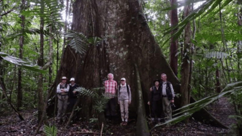 San Cristobal: 2 Days in the Southern Selva Lacandona Tour - An In-Depth Look at the Itinerary