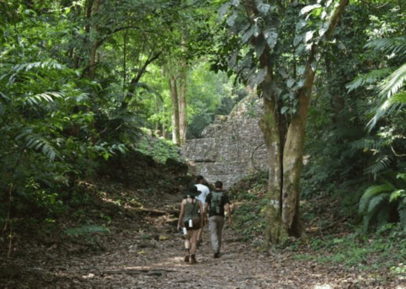 San Cristobal: 3 Days Expedition of North Lacandona Jungle - A Close Look at the 3-Day Itinerary