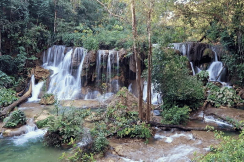 San Cristobal: 3 Days Expedition of North Lacandona Jungle - Final Thoughts: Who Will Love This Tour?