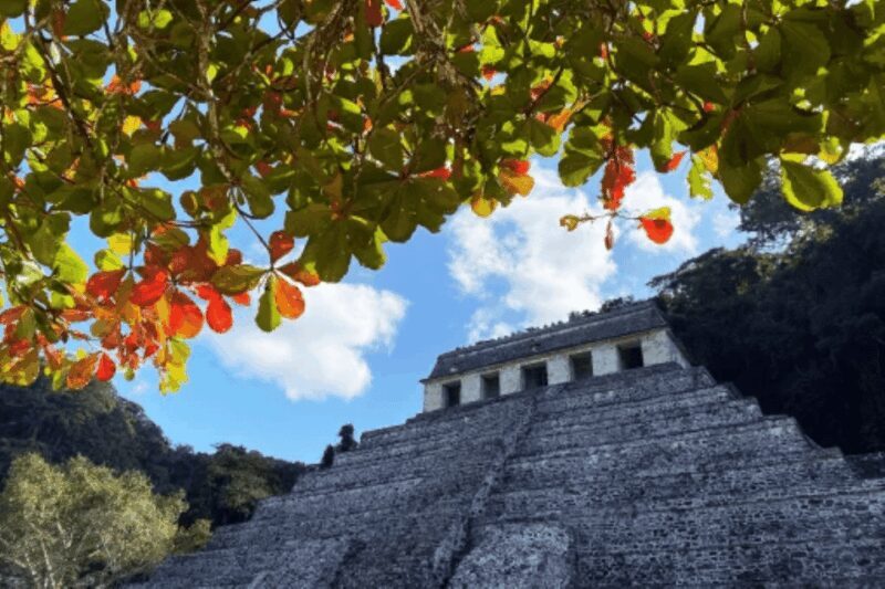 San Cristobal: 3 Days Nature Tour Southern Selva Lacandona - The Sum Up