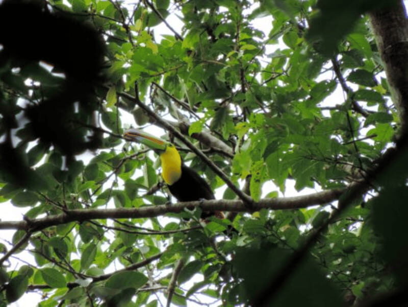 San Cristobal: 4 Days Nature Tour in the Lacandon Jungle - Who Will Love This Tour?